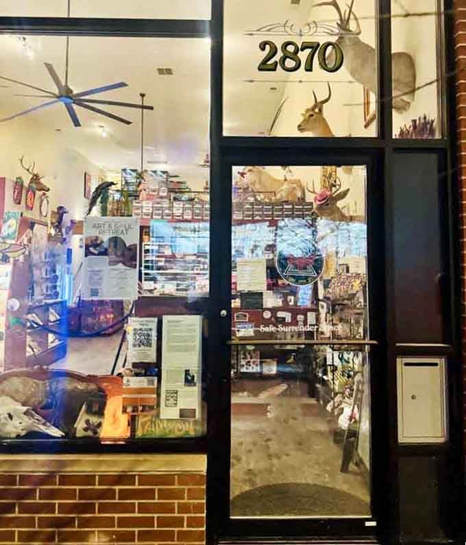 Step through these doors and enter a world where insects reign supreme and squeamishness is left at the threshold.