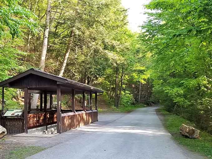 The entry road winds through forest so thick you'll forget what century you're in, wonderfully so.
