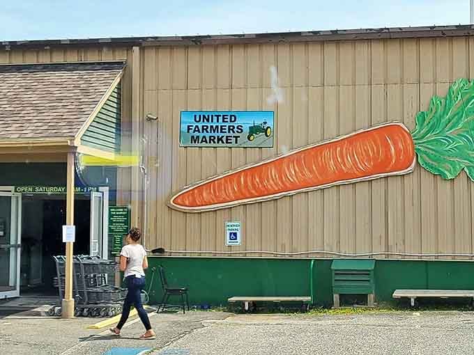 Nothing says "authentic Maine" like a giant carrot sign guiding you to fresh local produce. The United Farmers Market brings farm-to-table from buzzword to reality.