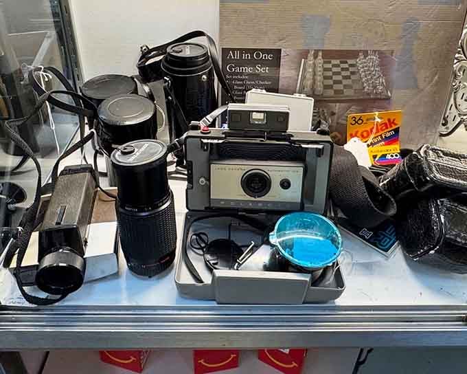 Vintage cameras that captured memories before smartphones made everyone a photographer, now waiting for their encore performance.