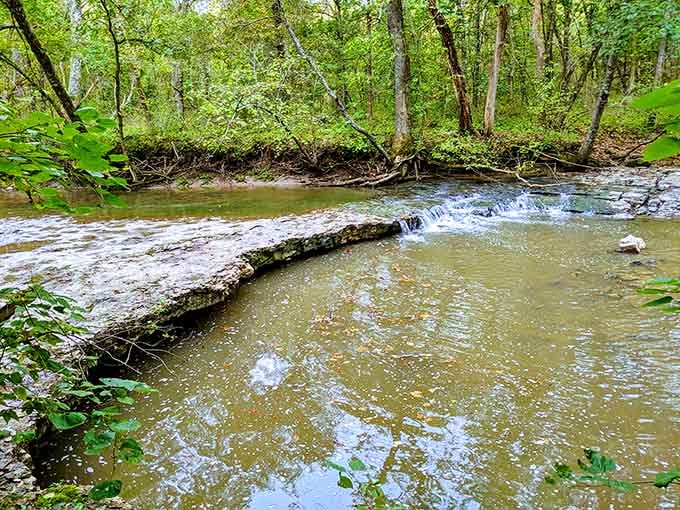 This gentle creek whispers secrets as it flows, creating the kind of tranquility money can't buy.