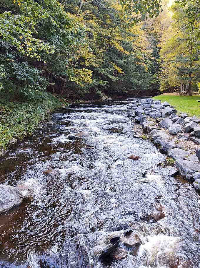 Whetstone Creek rushing over rocks creates nature's soundtrack, better than any playlist you've ever downloaded.