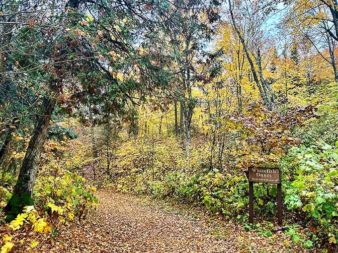 These autumn trails prove Wisconsin doesn't need to borrow scenery from anyone, thank you very much.
