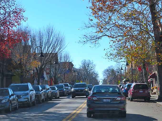 Tree-lined streets where parking spots are precious and every building tells a story worth hearing over coffee.