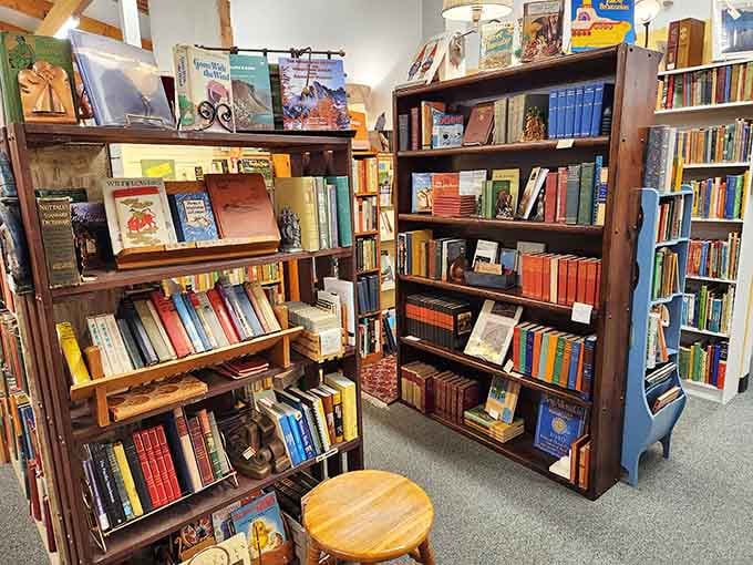 Literary time machines line these shelves, where first editions and forgotten classics wait to transport you back to childhood reading nooks.