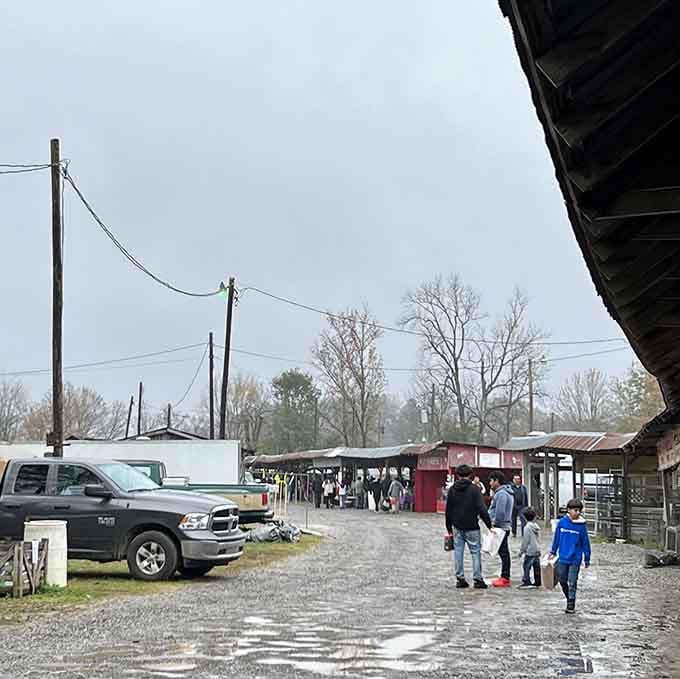 Rain or shine, the dedicated bargain hunters trudge forward. Mississippi mud just adds authenticity to the experience—and possibly a few dollars off your next purchase.