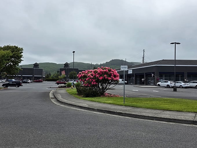 Those dramatic Oregon skies add character to your bargain hunting, proving even cloudy days have their silver lining.