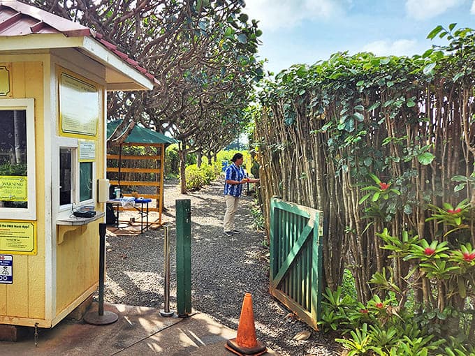 The gateway to adventure: This unassuming entrance belies the leafy labyrinth that awaits beyond, where wrong turns become delightful discoveries.