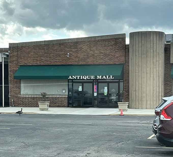 Green awnings and brick facade give this time capsule a modest disguise. If buildings could wink, this one would be saying "just wait till you see inside."