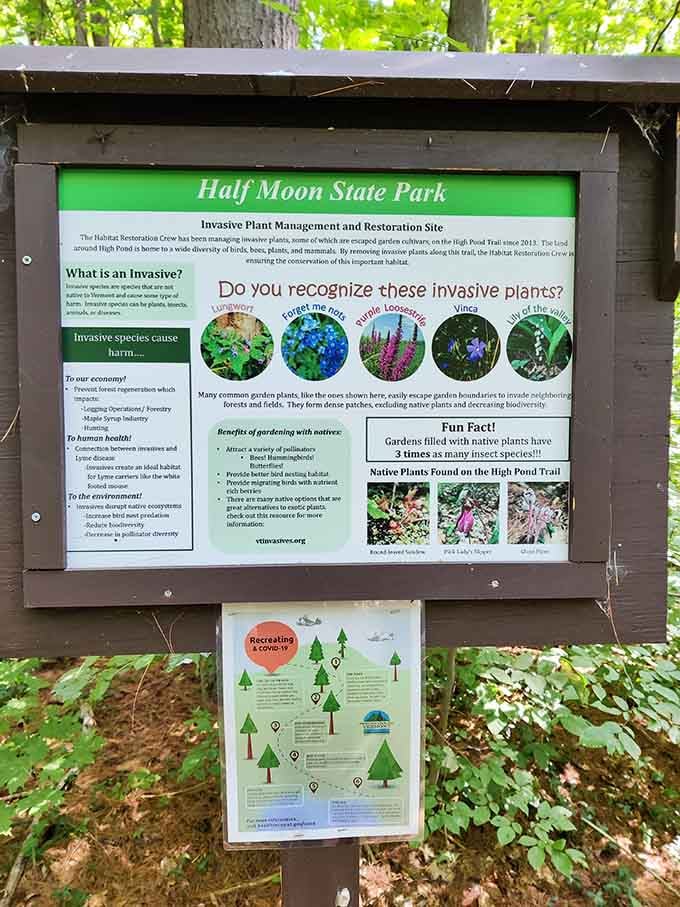 Who knew invasive plants could be so educational? This sign teaches visitors how to be environmental superheroes without wearing capes.