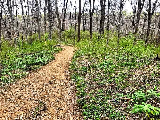 The path less traveled often leads to the best discoveries. This trail promises adventure without requiring an expedition-worthy backpack.