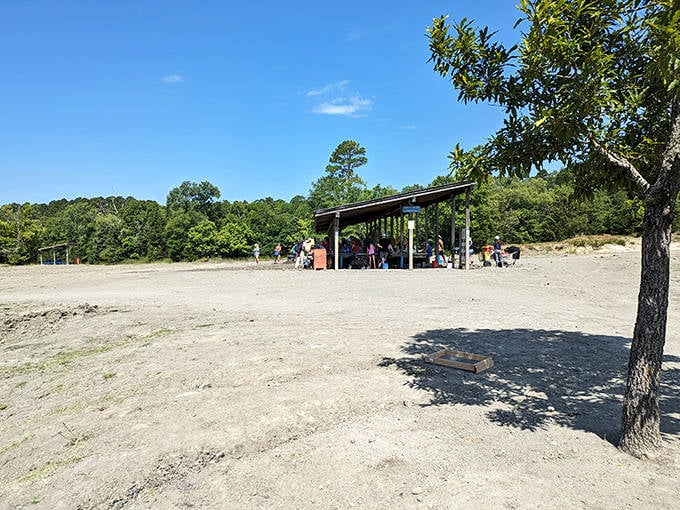 Diamond hunters gather under the shelter, sifting through possibilities. It's like panning for gold, except what glitters actually might be diamonds.