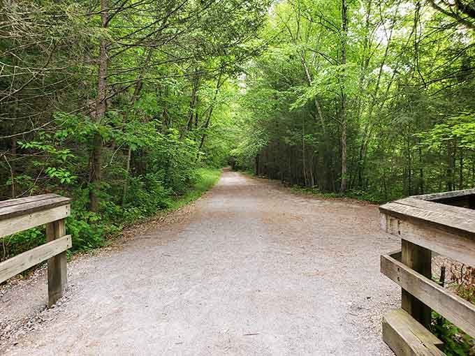 This isn't just a path; it's nature's welcome mat. The trail beckons with promises of adventure while the forest stands guard on either side.