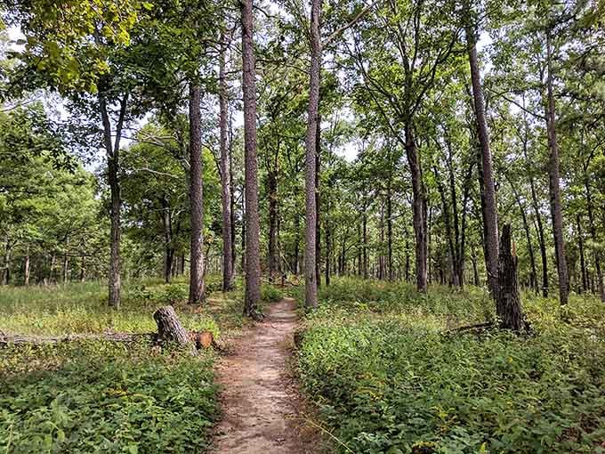 The path less traveled beckons through sun-dappled pines. This trail promises adventure without requiring an emergency helicopter rescue.