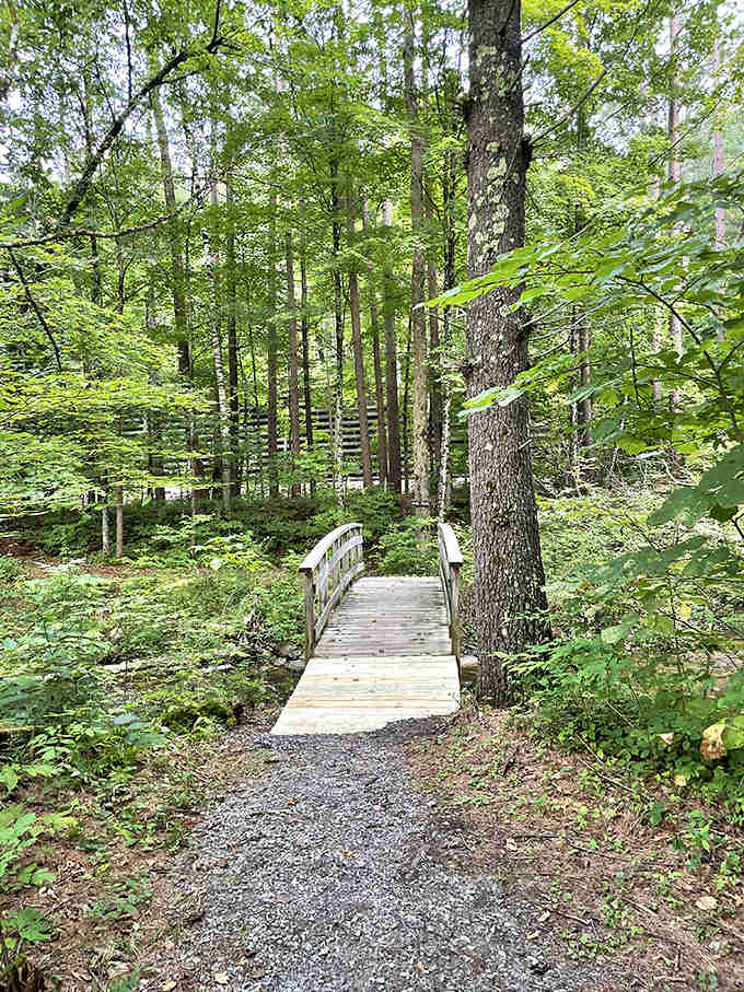 Nature's welcome committee: a wooden footbridge inviting hikers to cross from the ordinary world into Vermont's emerald paradise.