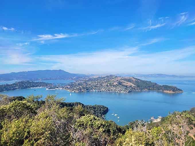 Angel Island rises from San Francisco Bay like a jewel, offering 360-degree views that'll make your camera work overtime.