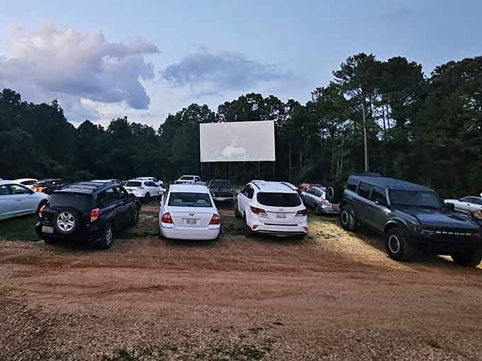 When the movie starts rolling and cars fill every spot, you know you've found something special.