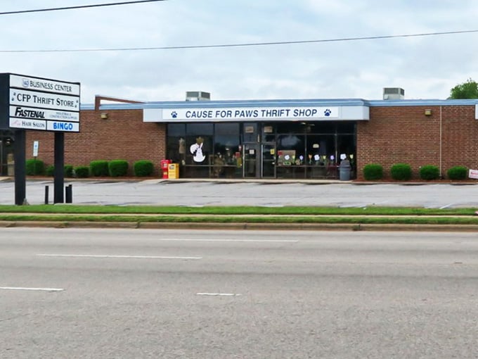 Shopping here means helping furry friends find homes while scoring deals that make your wallet smile.