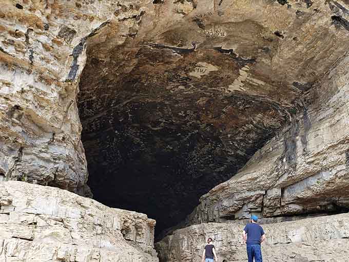 Standing beneath this massive limestone cave opening feels like discovering nature's own cathedral carved by ancient rivers.
