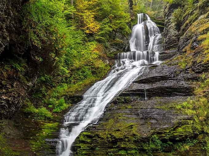 Dingmans Falls drops 130 feet down dark rock walls, framed by moss and ferns like a living postcard.