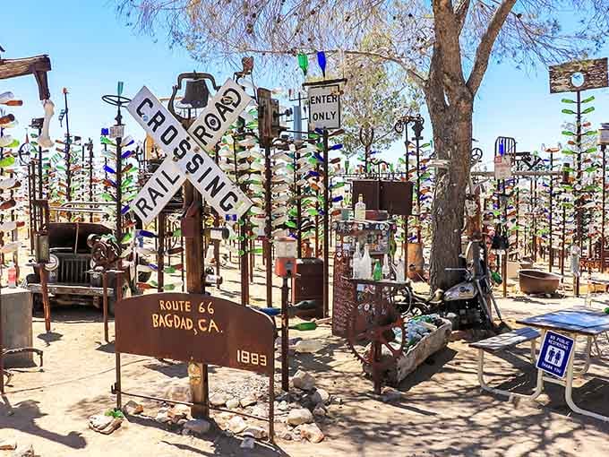 Welcome to the desert's most colorful forest, where glass bottles bloom instead of leaves on metal trees.