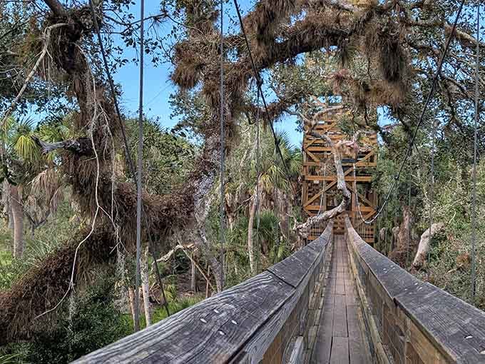 Walking through the treetops on this swaying canopy bridge beats any theme park ride for pure natural thrills.