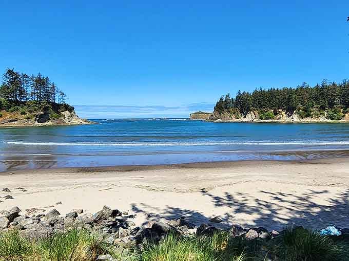 This protected cove offers calm waters rare on Oregon's coast, perfect for actual swimming without freezing instantly.