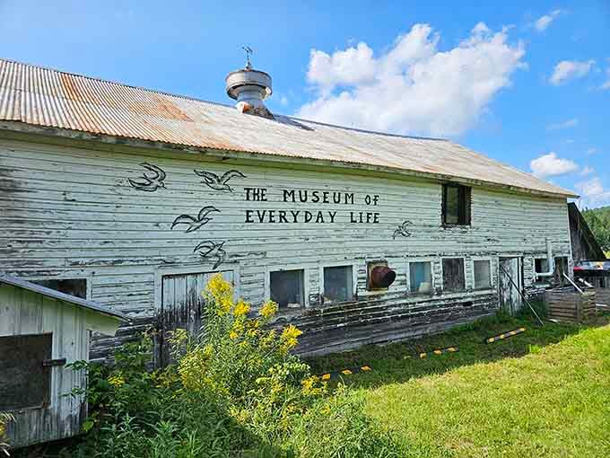 Who knew everyday objects could feel so extraordinary? This weathered barn holds treasures hiding in plain sight.