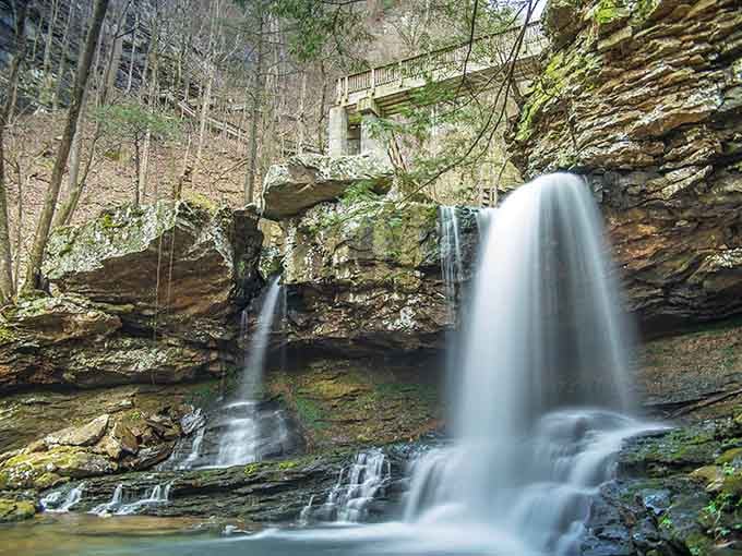 The viewing platform at Cloudland Canyon feels like front-row seats to Earth's greatest water ballet, complete with moss-covered rock choreography.