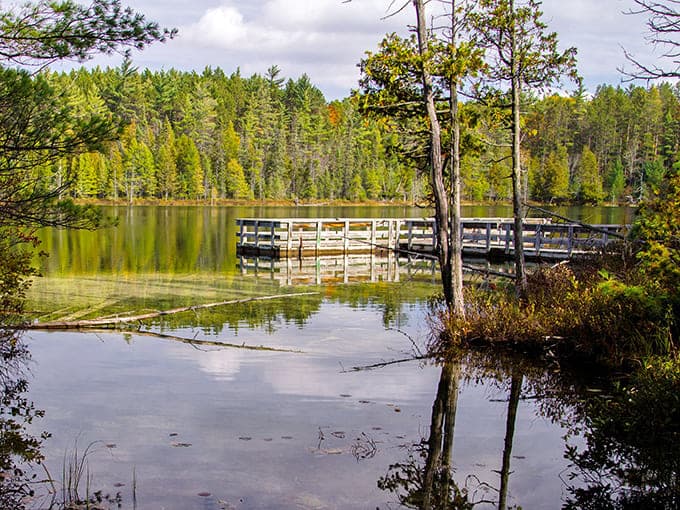 Nature's mirror reflects perfectly in this quiet pond, where wooden docks invite contemplation and maybe a fishing line.