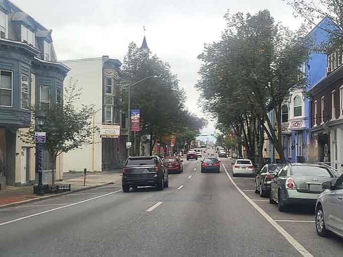 Tree-lined avenues stretch toward the horizon, where small-city charm meets everyday convenience without the urban chaos.