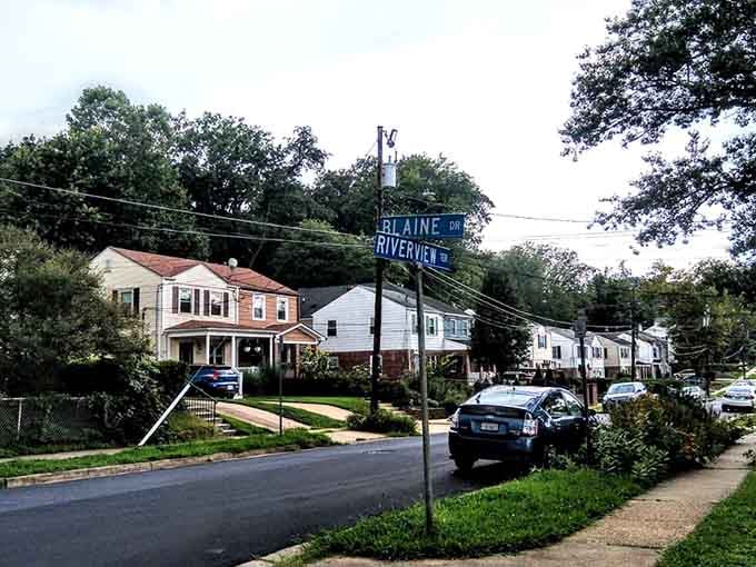 Tree-lined streets and tidy homes create that classic American neighborhood vibe we all remember from childhood.