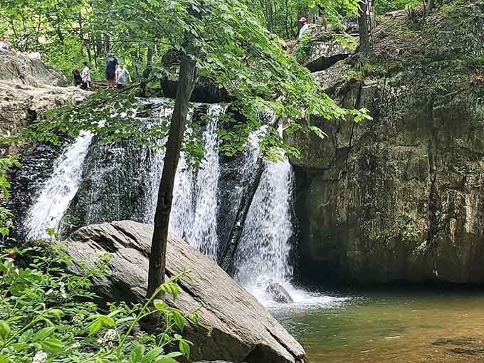 That fallen tree adds character to this wide cascade, like nature's own piece of driftwood art framing the scene.