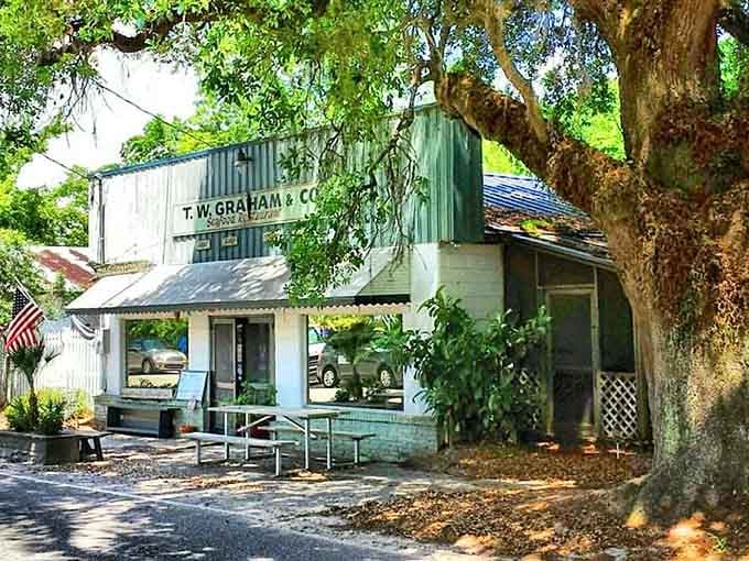 That weathered storefront under ancient oaks has seen more history than most museums could ever hold.