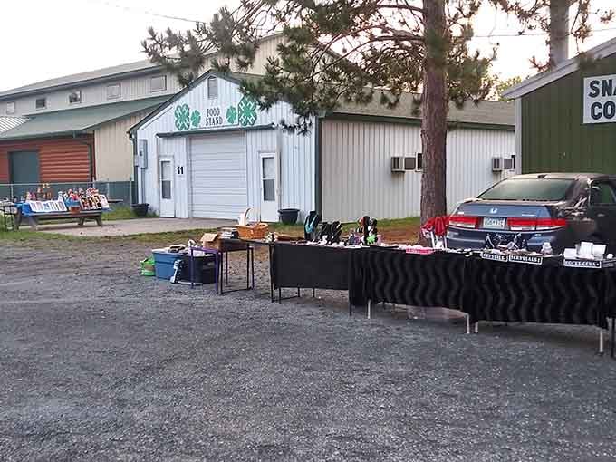 Evening shadows stretch across tables laden with curiosities, proving the best finds often come when you least expect them.