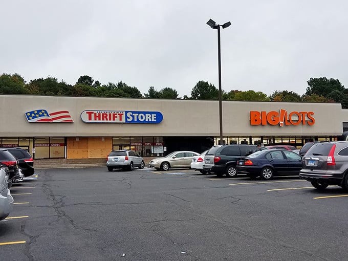 When Big Lots shares a parking lot with treasures, you know you've found the ultimate bargain-hunting block party.