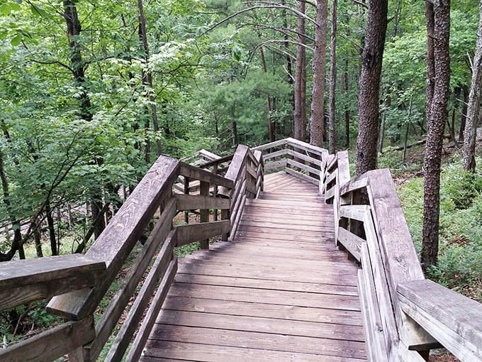 This wooden bridge curves through the forest like an invitation, leading you deeper into green shadows where adventure waits patiently.