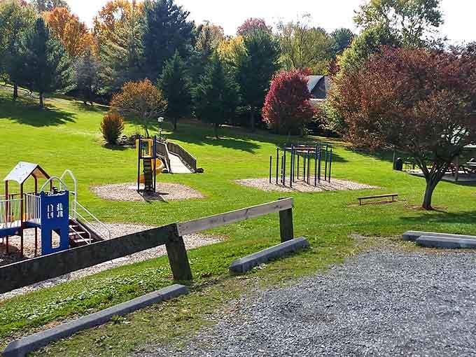 Munchkin Park proves that the best playgrounds are the ones where kids actually want to play outside.