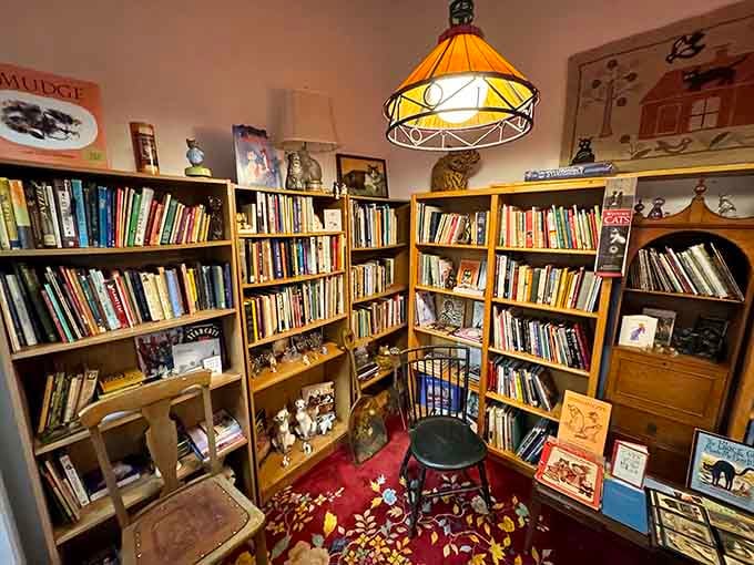 An entire library dedicated to cat literature proves humanity's feline obsession goes way deeper than Instagram.