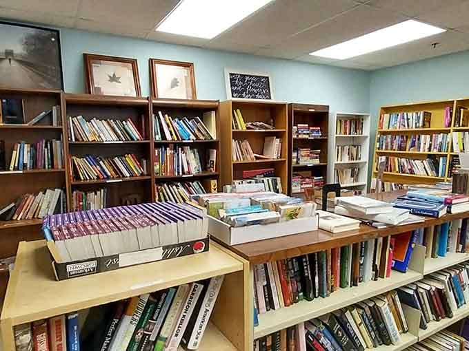 Rows of books organized like a proper library make browsing feel less like hunting and more like discovering.