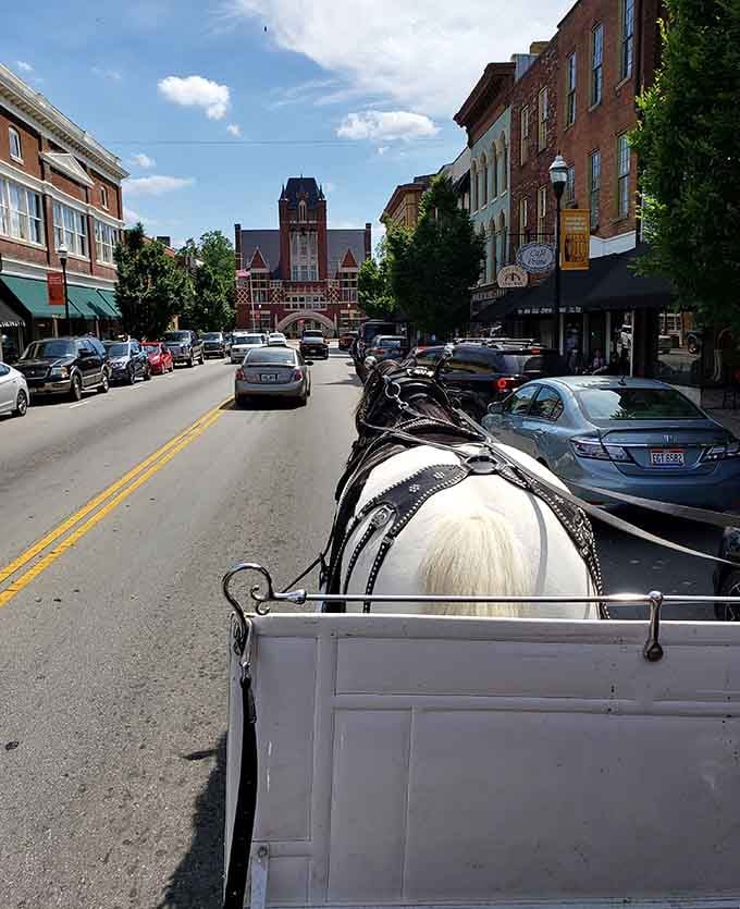 Nothing says "slow down and enjoy life" quite like exploring town from behind a horse's backside.