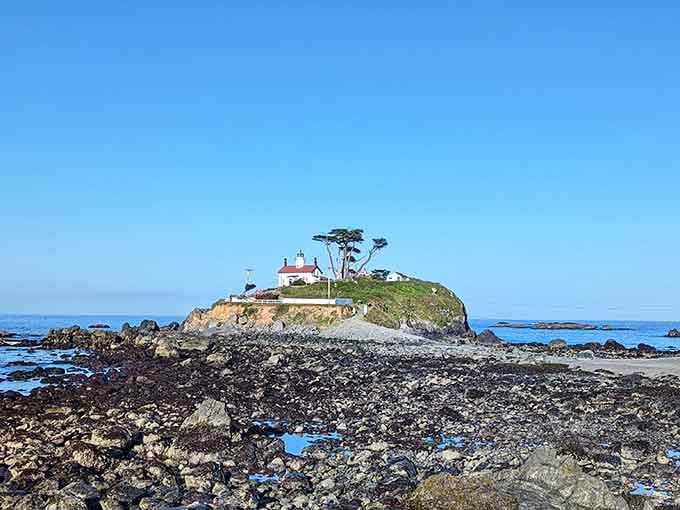 The exposed ocean floor reveals itself like nature's own red carpet, leading straight to maritime history.