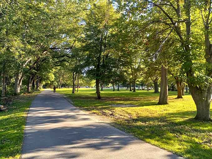 Tree-lined paths in Recreation Park offer the kind of peaceful stroll that doesn't require a gym membership or motivational podcast.