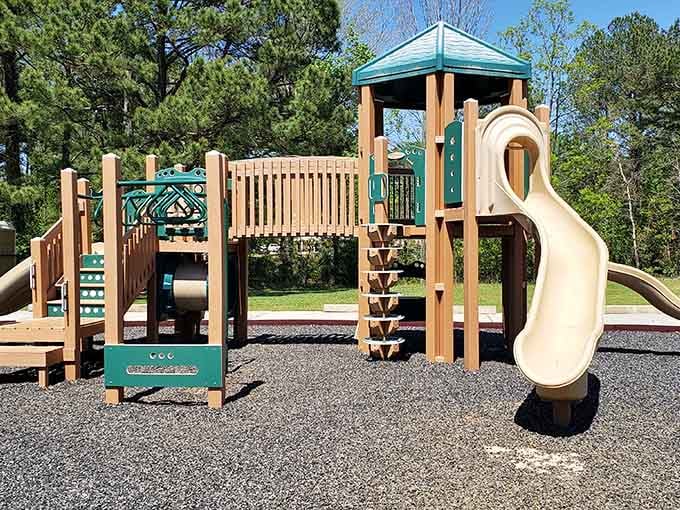 Modern playground equipment meets old-fashioned outdoor fun, and the kids won't even miss their screens.