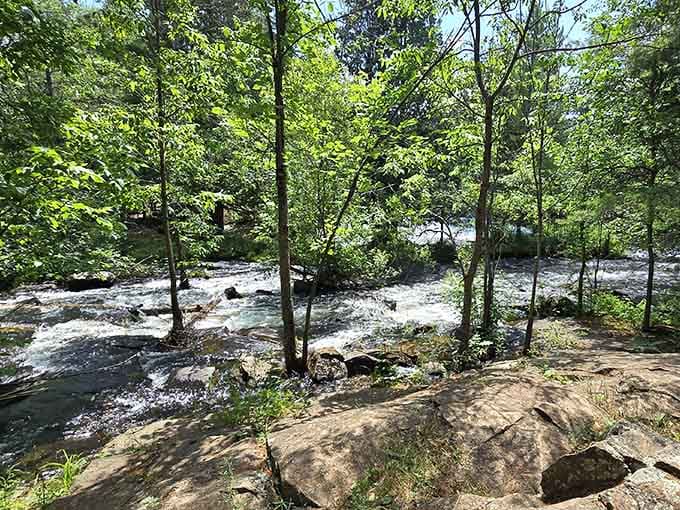 Trees frame the rushing water perfectly, creating a natural gallery for one of the UP's finest displays.