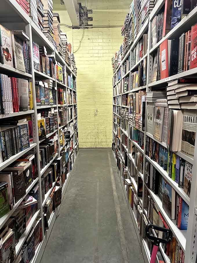These towering shelves hold more stories than your grandmother's bridge club, and that's saying something.