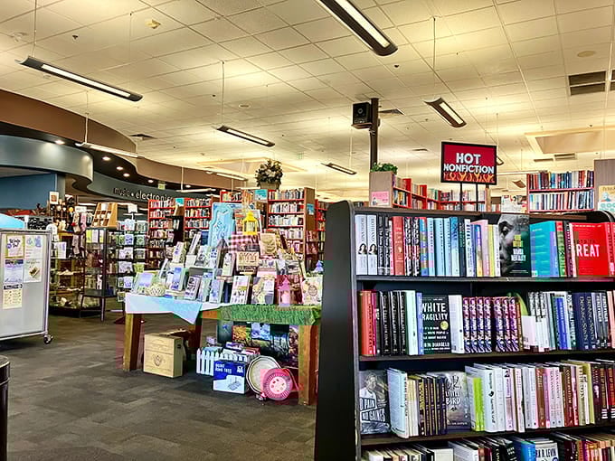 Rows of books stretch endlessly, each spine holding a story waiting to transport you somewhere extraordinary.