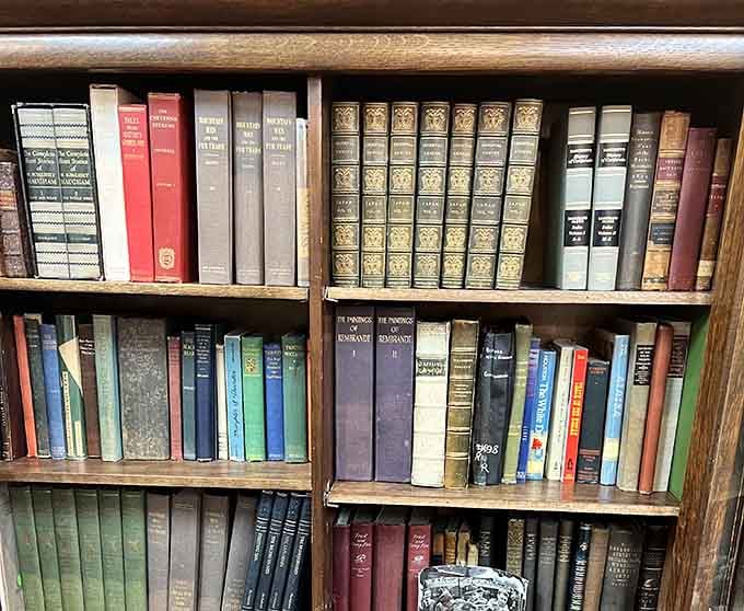 Books that have outlived their original owners stand ready for adoption. Each spine tells two stories: the one inside and the journey it took to get here.