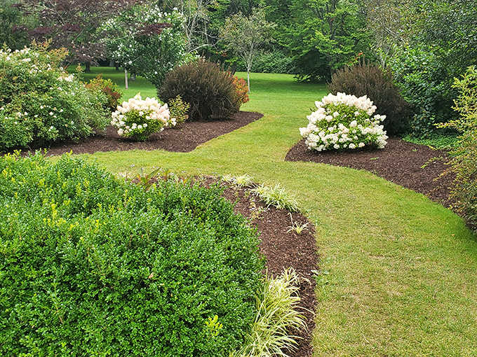 The botanical garden's manicured pathways lead visitors through a green labyrinth. It's like Mother Nature's version of a formal ballroom, but with better air circulation.