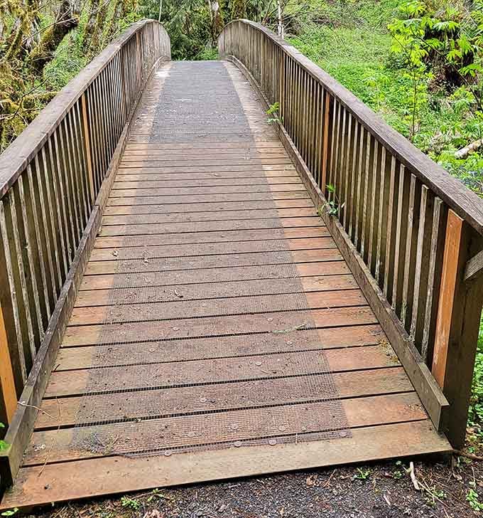This wooden bridge doesn't just connect two points; it's practically begging you to pause midway and contemplate life's greater questions.